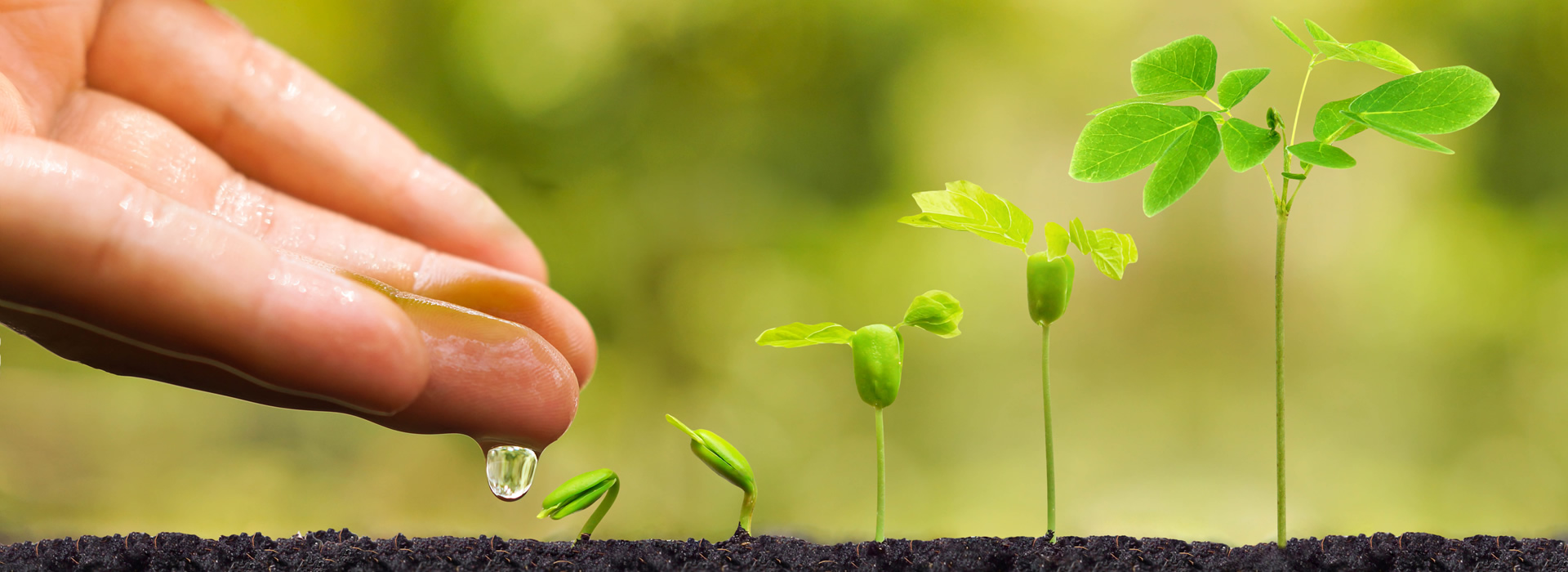 Home - Grow Well Cleveland